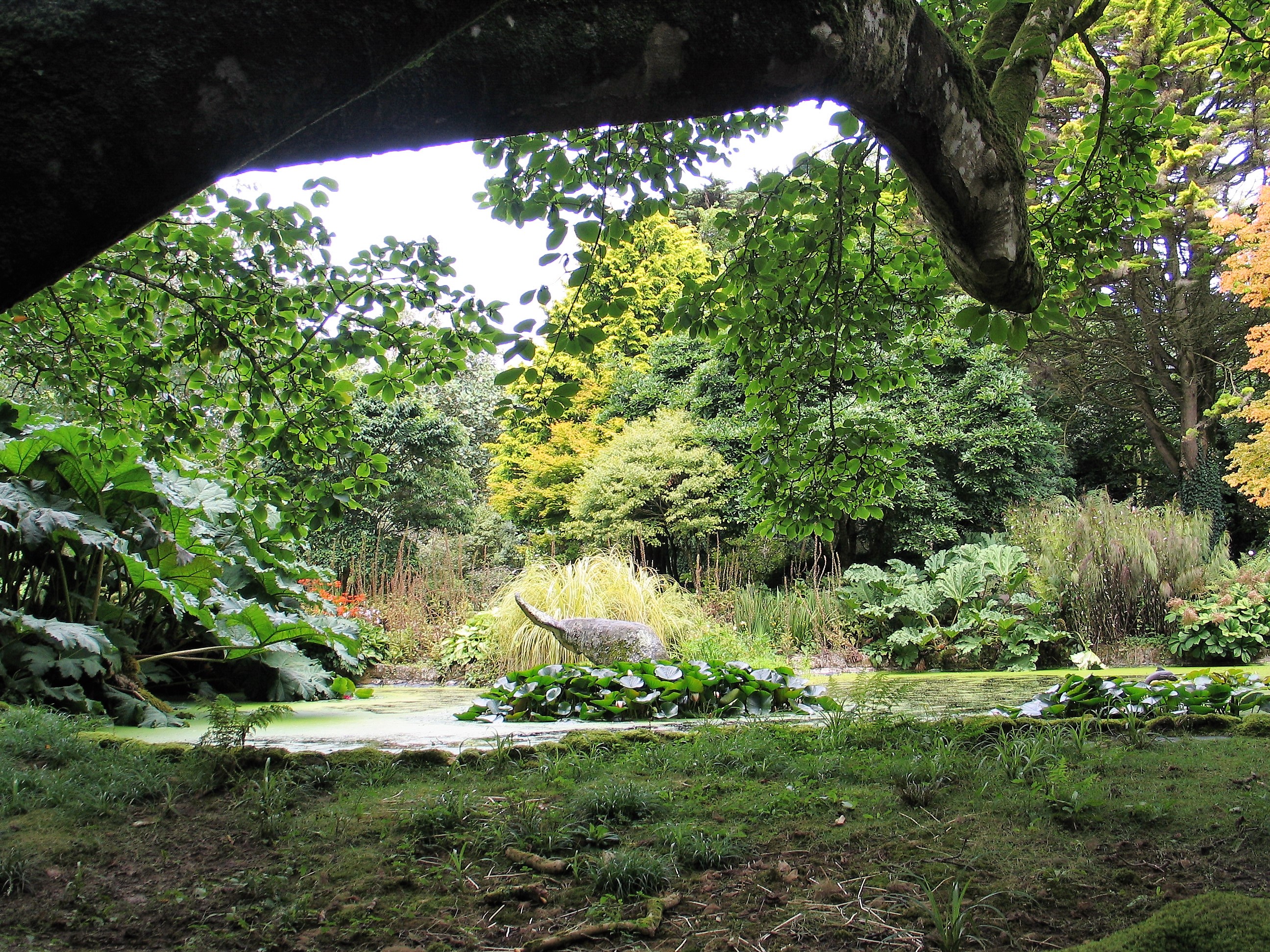Trewidden Garden - a spring garden visit in the summertime - Ednovean Farm